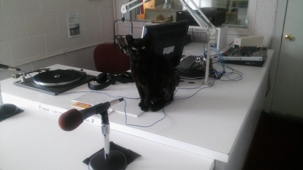 KTIL Family of Radio Stations - Tillamook Area Chamber of Commerce